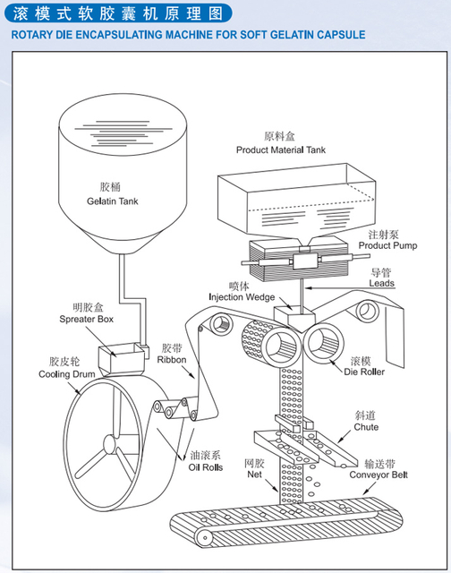 Cutting-Edge Softgel Machine Technology - Sinagel